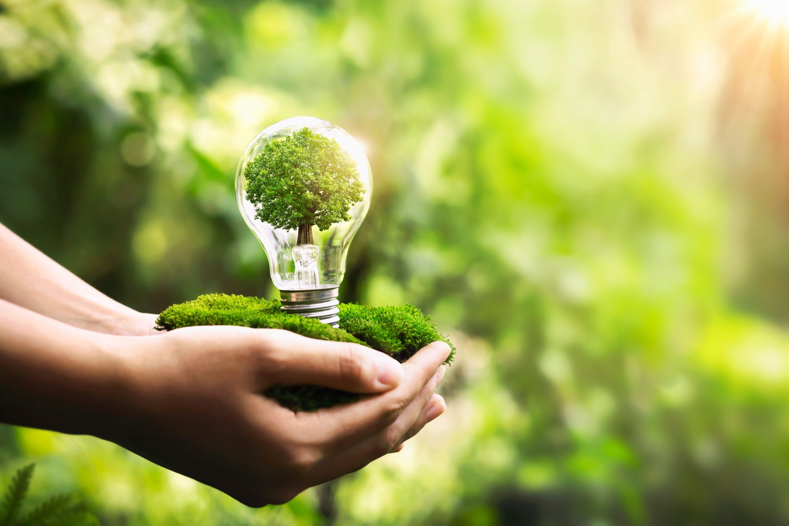 Consigli24 | Giornata Mondiale dell’Ambiente: 10 prodotti eco-friendly ...